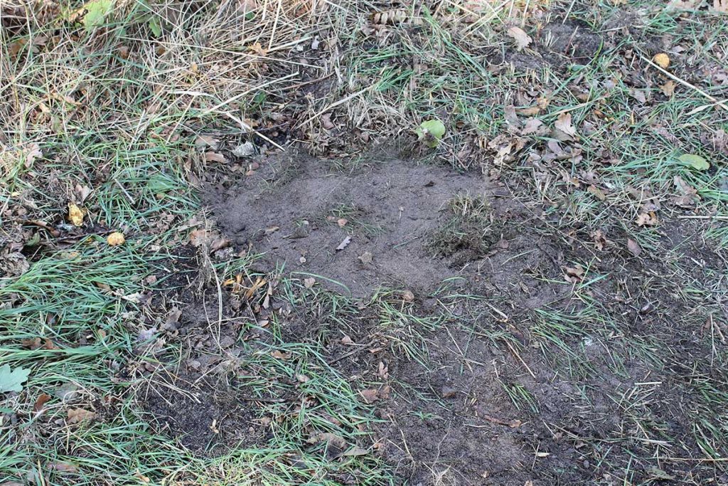 Elda upp stubbar enkelt med en stubbskorsten - Se video och bilder