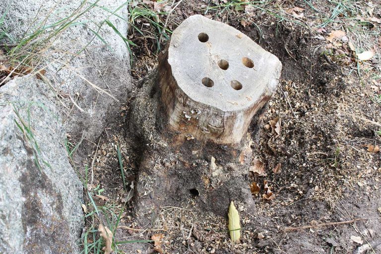 Elda upp stubbar enkelt med en stubbskorsten - Se video och bilder